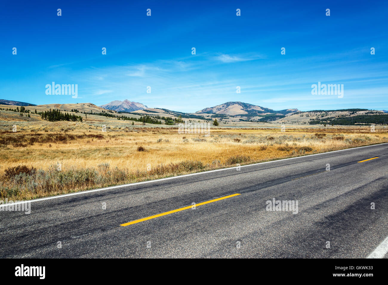 Yellowstone road hi-res stock photography and images - Alamy