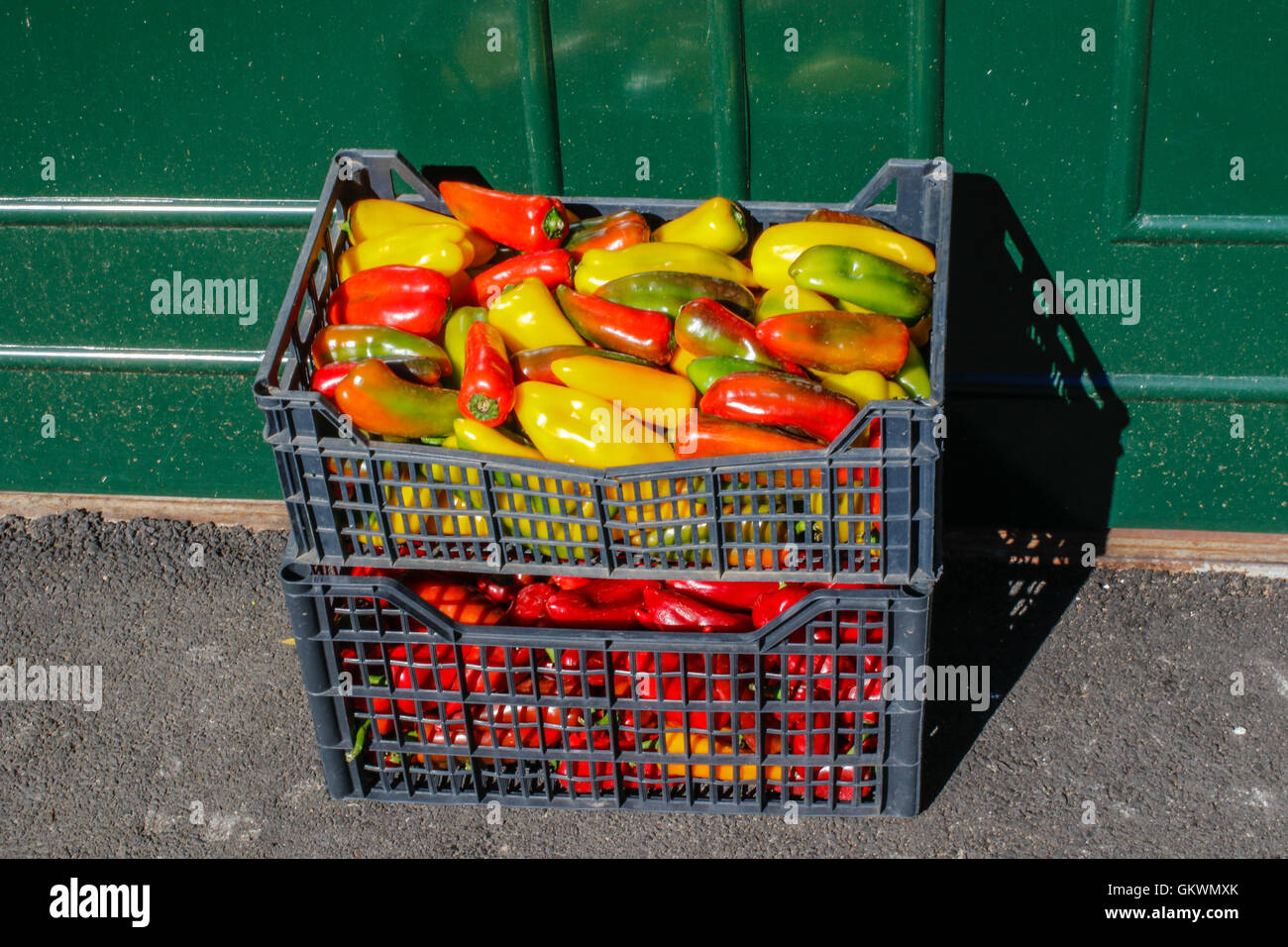 Basket of peppers sittting in a basket Stock Photo - Alamy