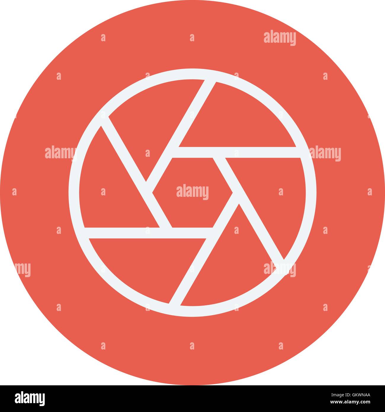 Professional shutter Stock Vector Images - Alamy