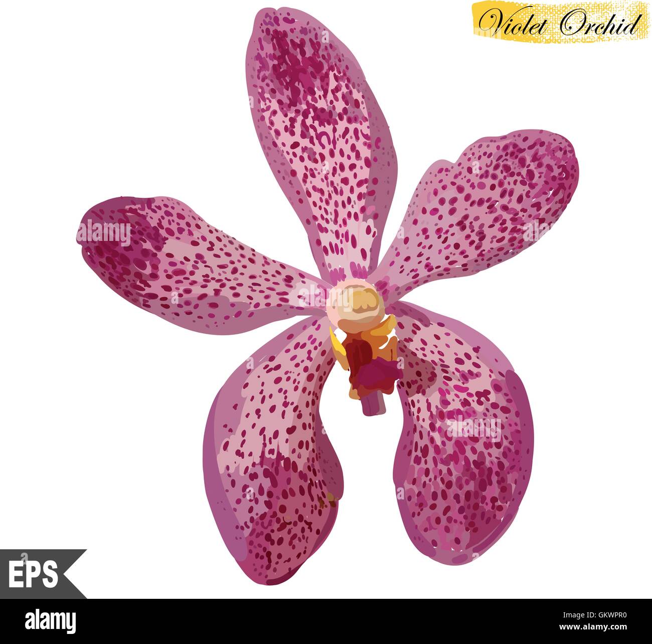 Isolated flower orchid on a background. Vector eps 10 Stock Vector ...
