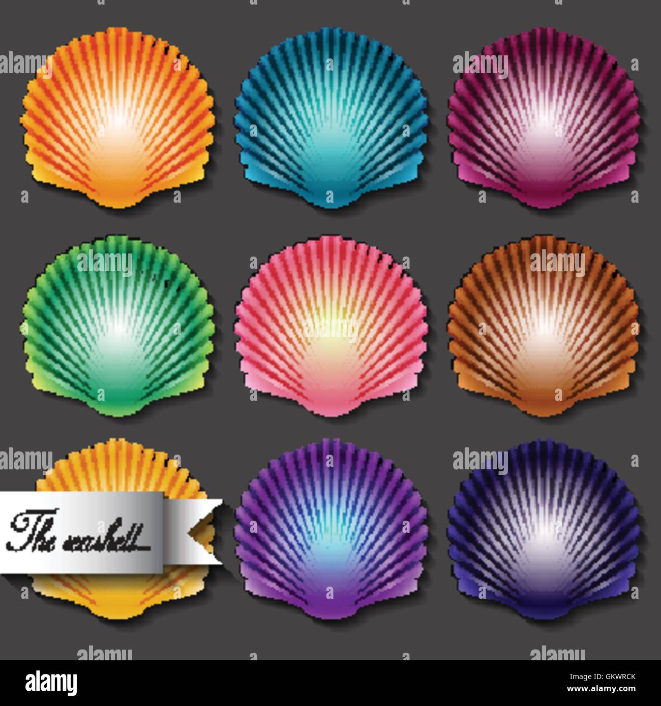 Scallop seashell hi-res stock photography and images - Alamy