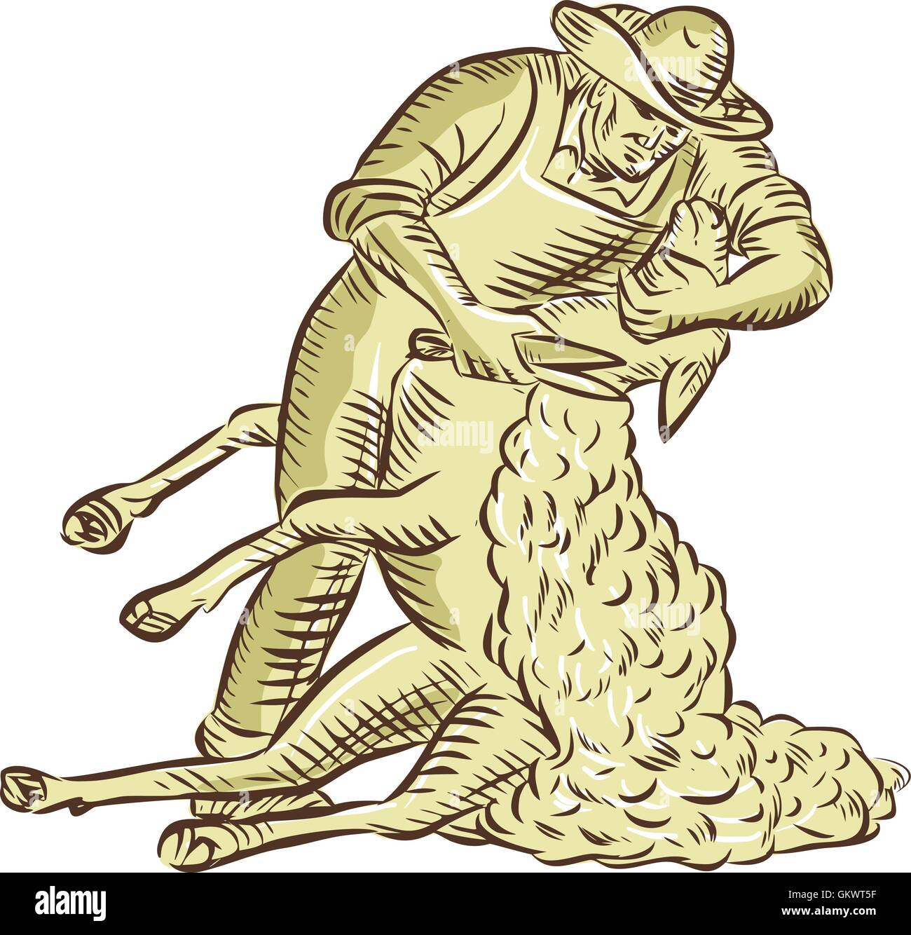 Sheep etching hi-res stock photography and images - Alamy