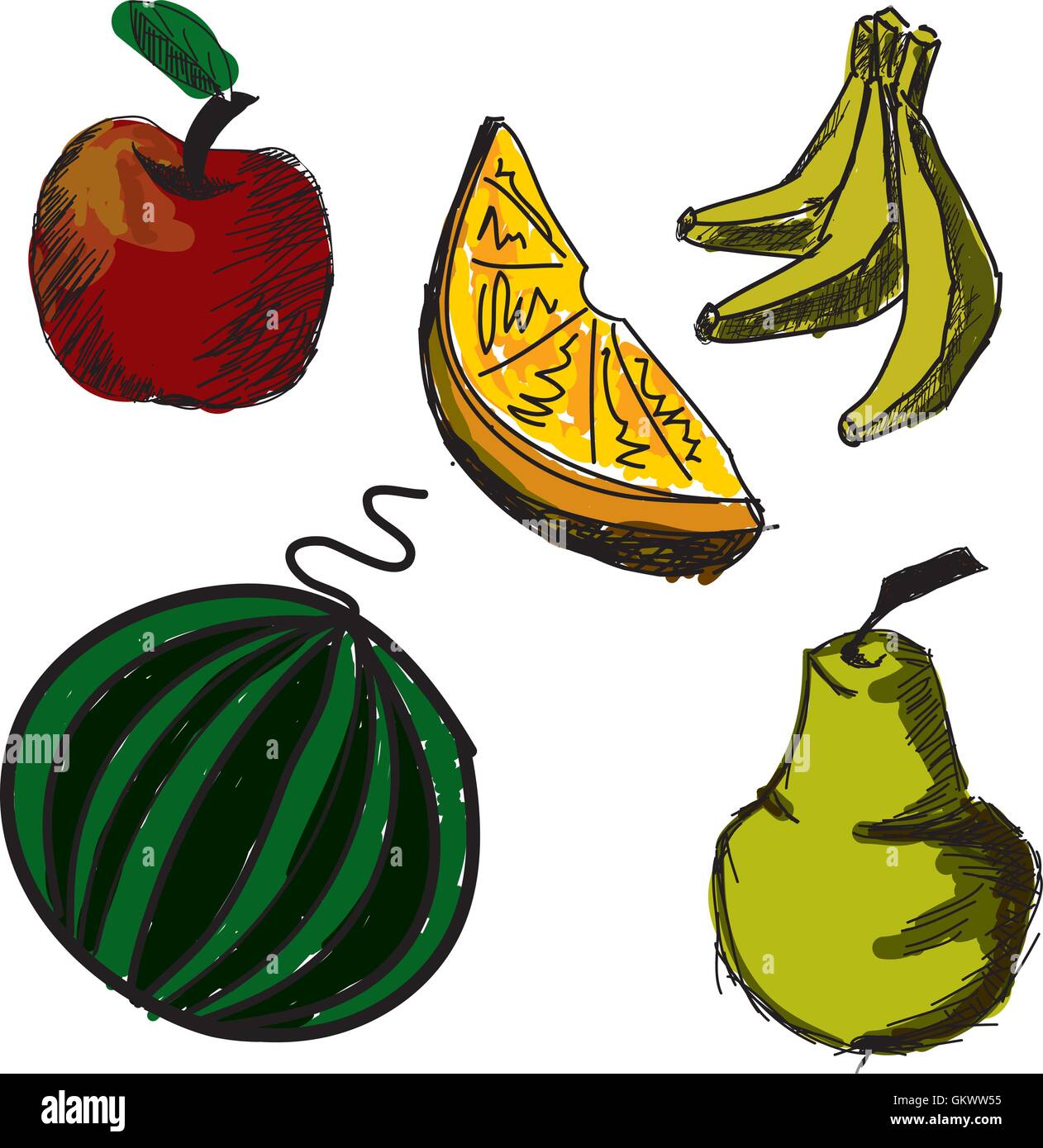 Drawn colored fruits. Vector illustration Stock Vector Image & Art - Alamy