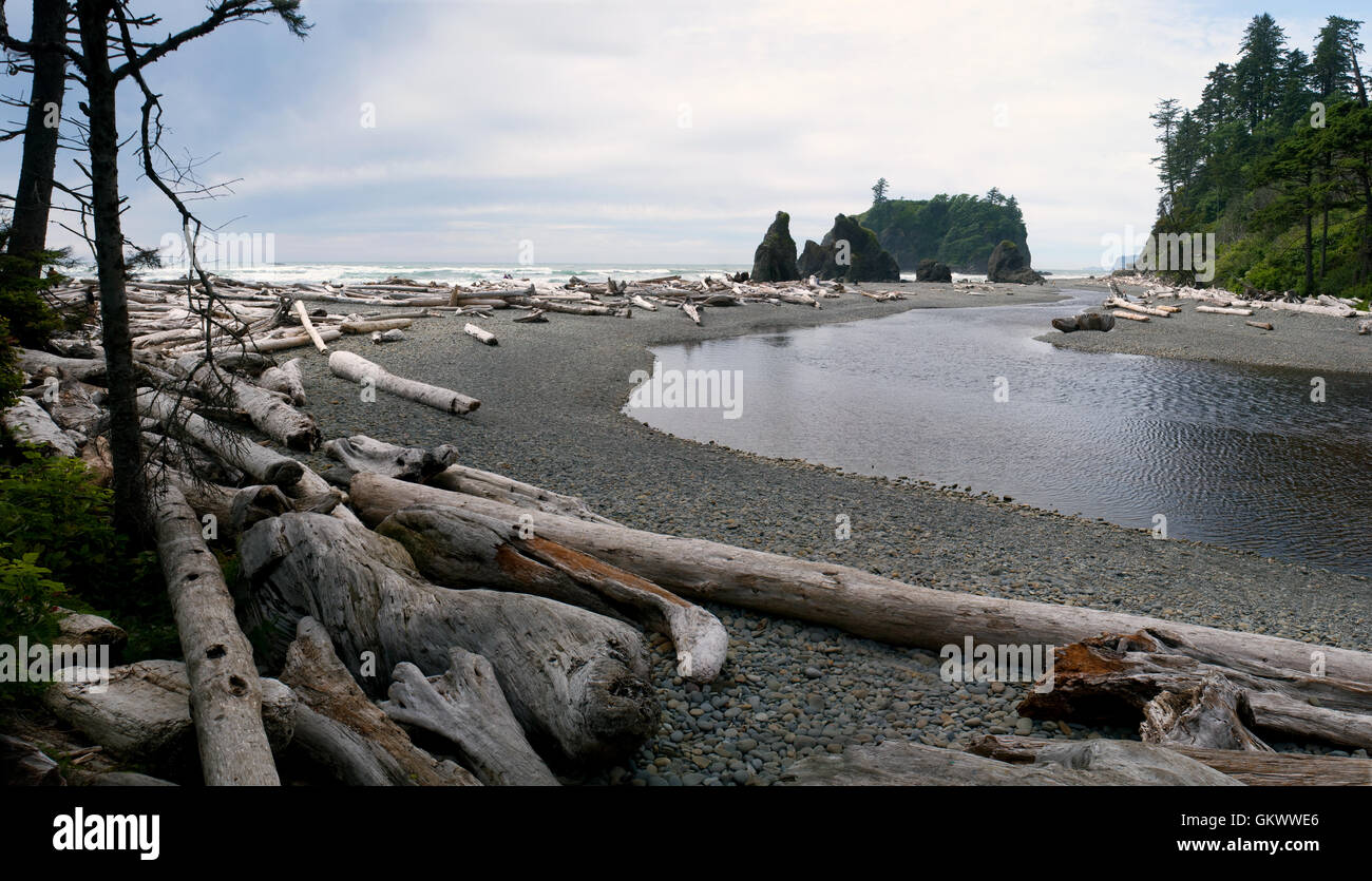 Ruby Beach is the northernmost of the southern beaches in the coastal ...