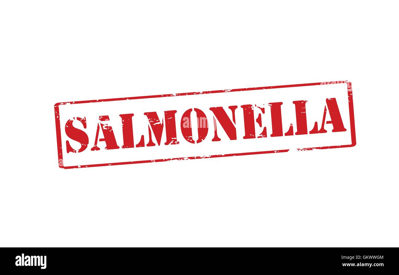 Salmonella Stock Vector Images Alamy