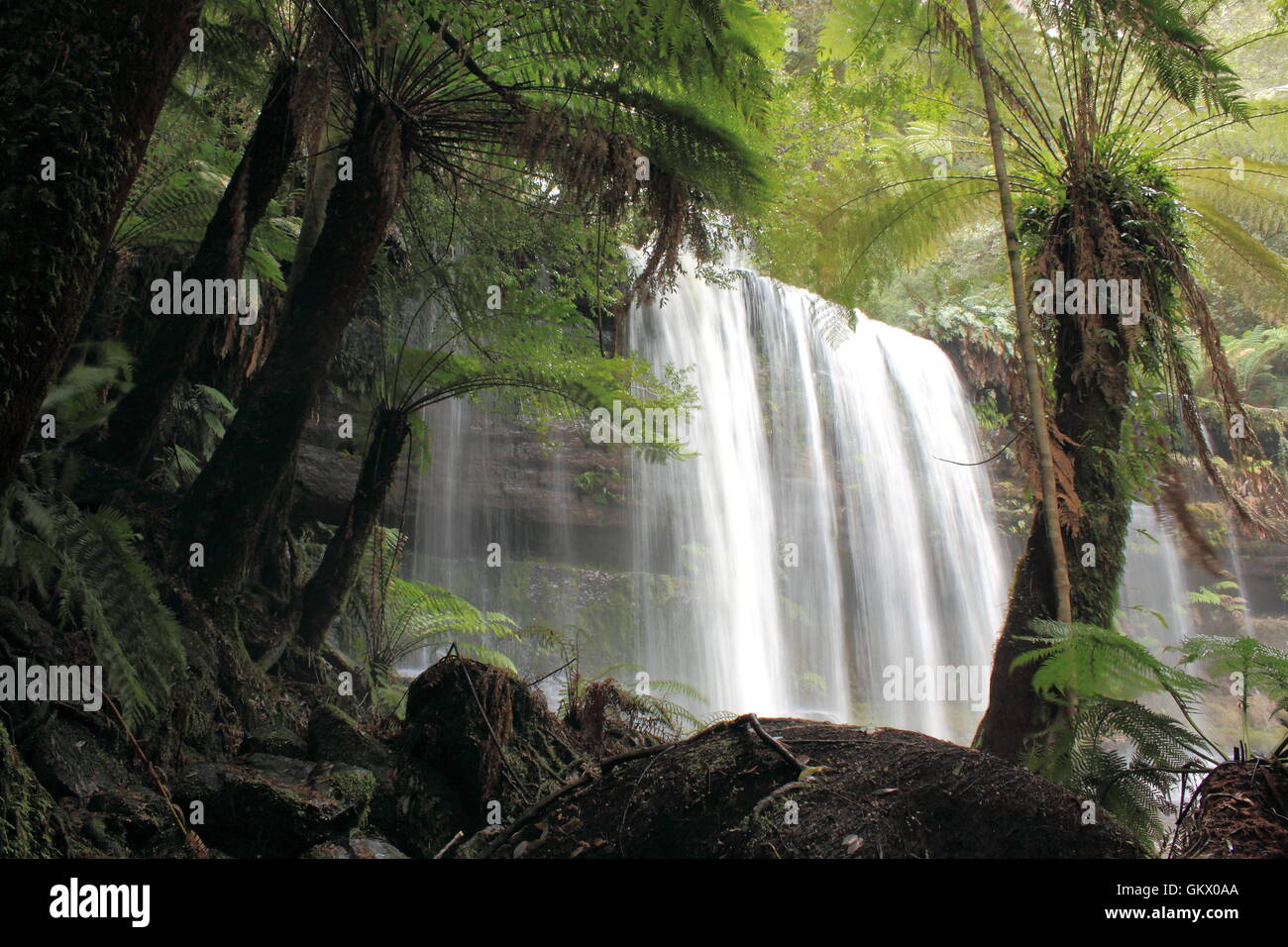 Waterfall in Mount Field National Park Tasmania Australia Stock Photo ...