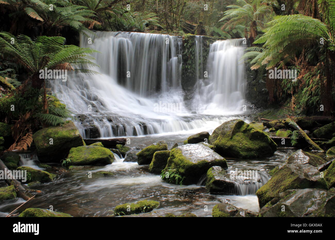 Waterfall in Mount Field National Park Tasmania Australia Stock Photo ...