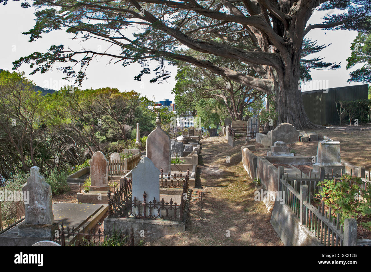 Wellington, New Zealand - March 2, 2016: Jewish cemetery at Bolton ...