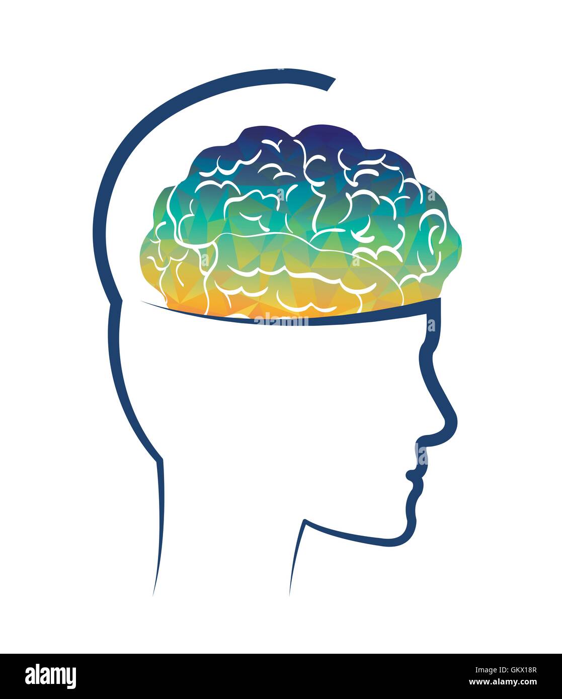 Human organ and human head. Brain icon. vector graphic Stock Vector ...