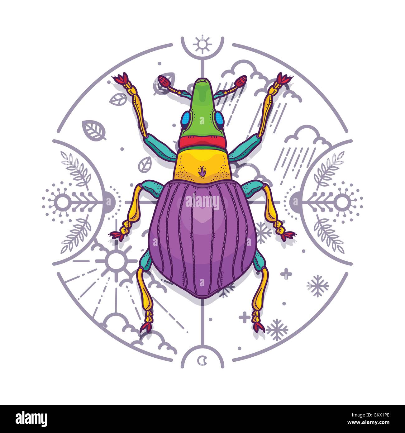 Vector Illustration of Insect Beetle Design Elements with Line Graphic ...