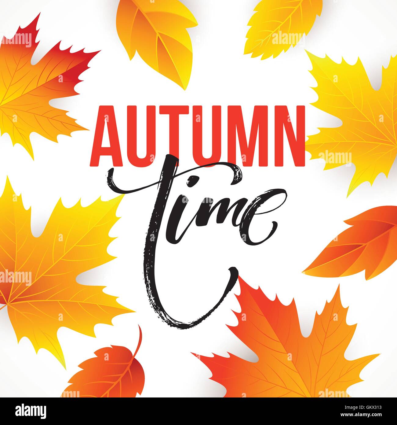 Autumn time seasonal banner design. Fall leaf. Vector illustration ...