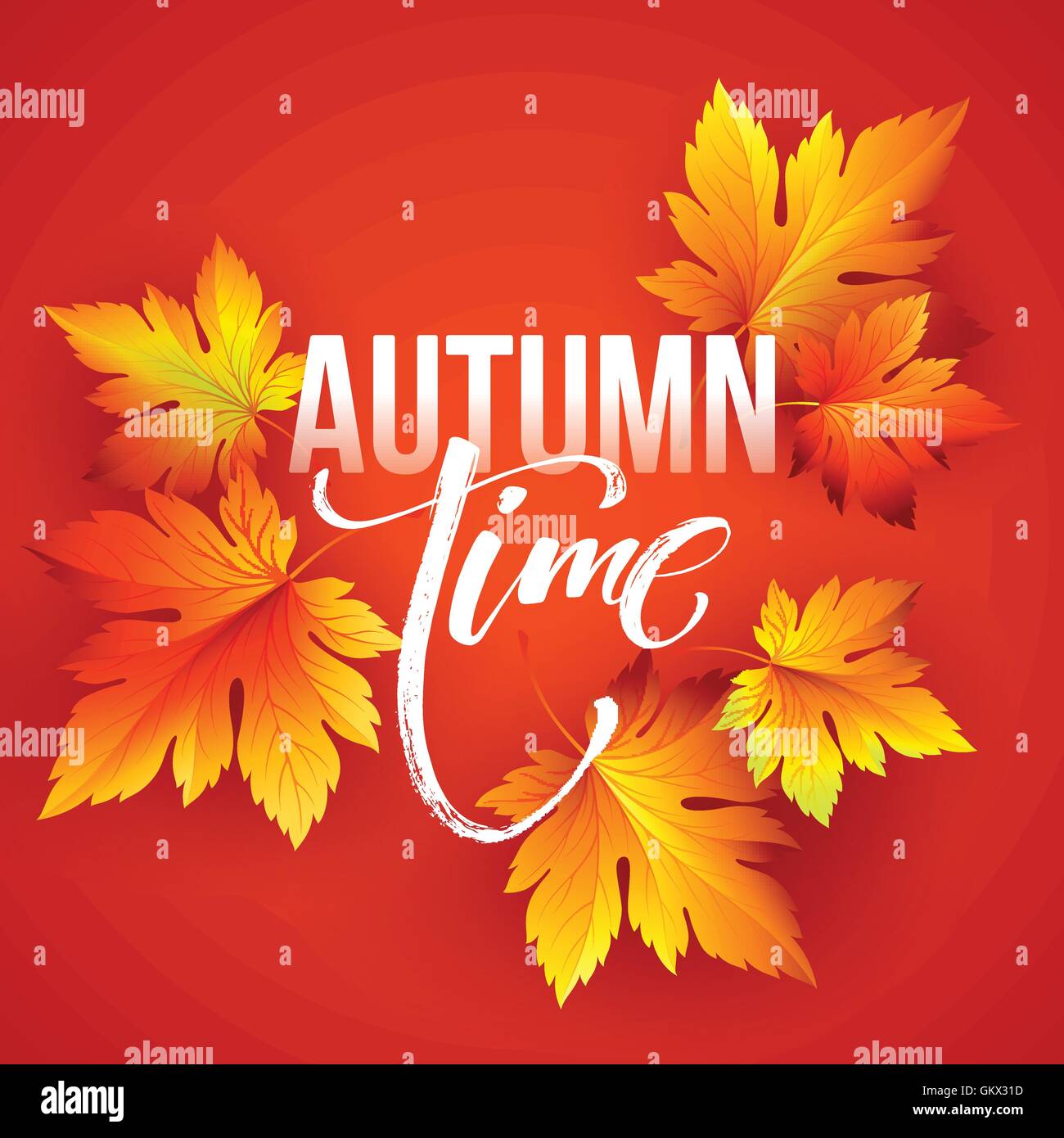 Autumn time seasonal banner design. Fall leaf. Vector illustration ...