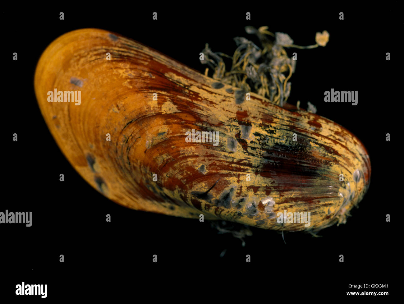 High Temperature Areas High Resolution Stock Photography and Images - Alamy