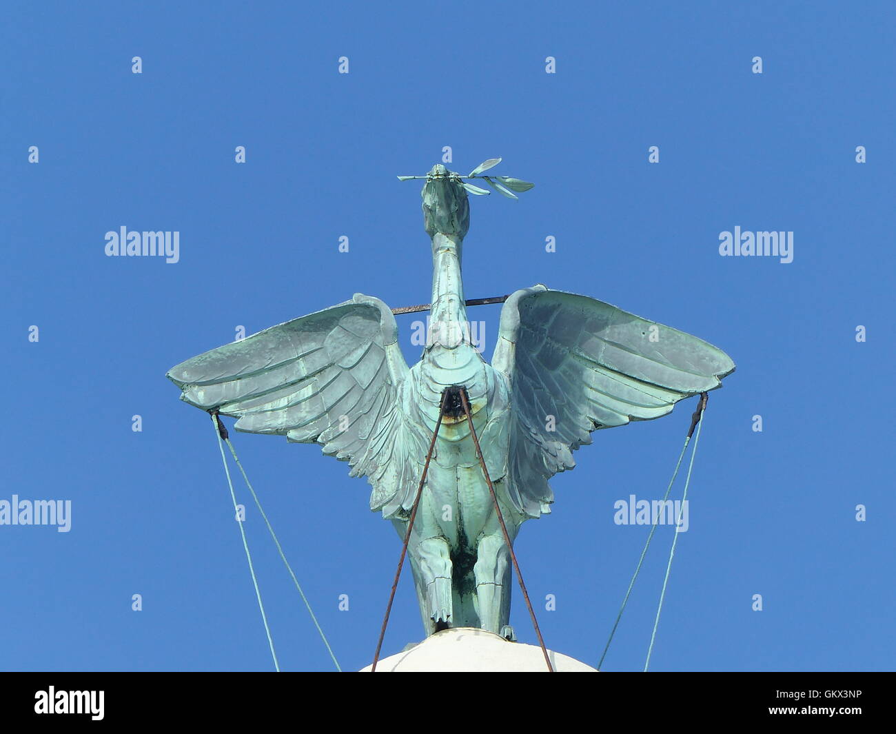 Liver Building Bird High Resolution Stock Photography and Images - Alamy