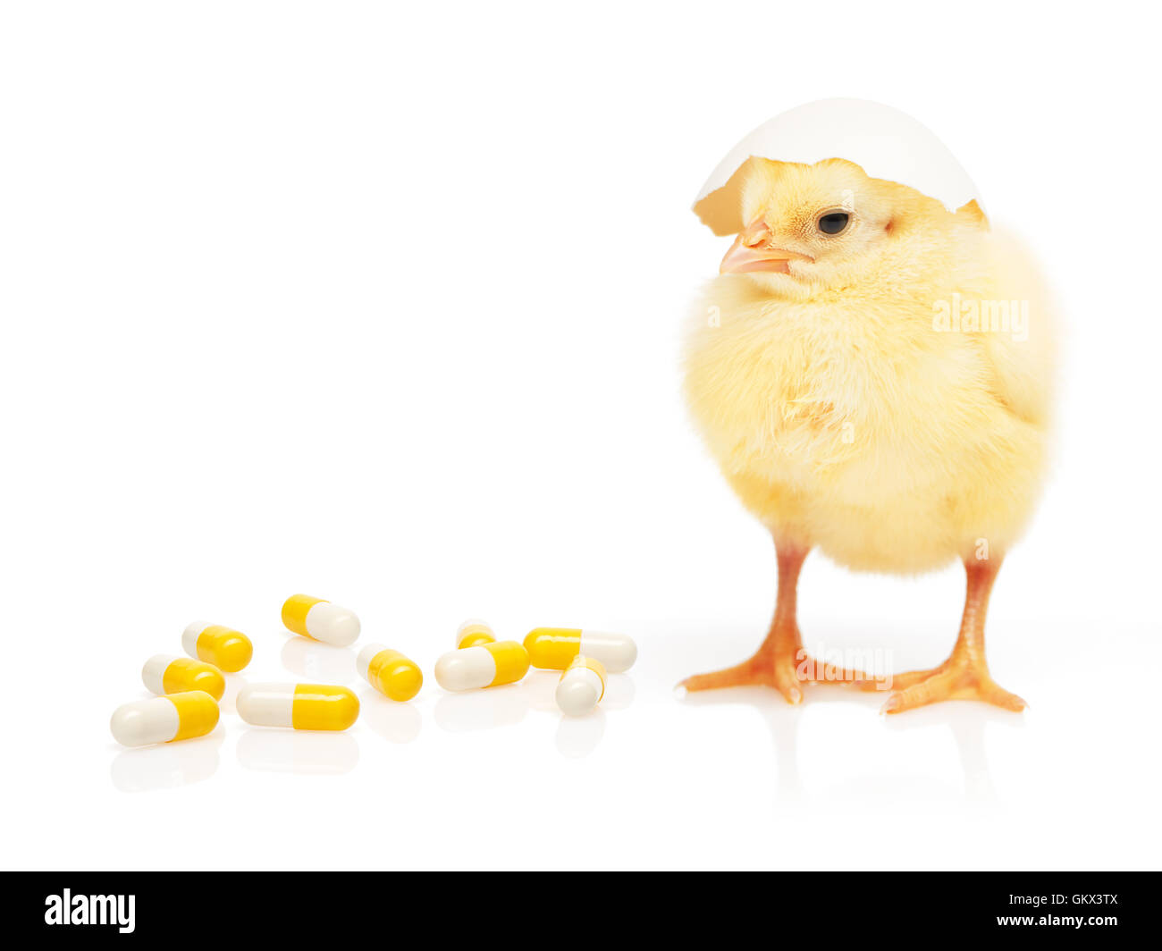 Doctor hatch Cut Out Stock Images & Pictures - Alamy