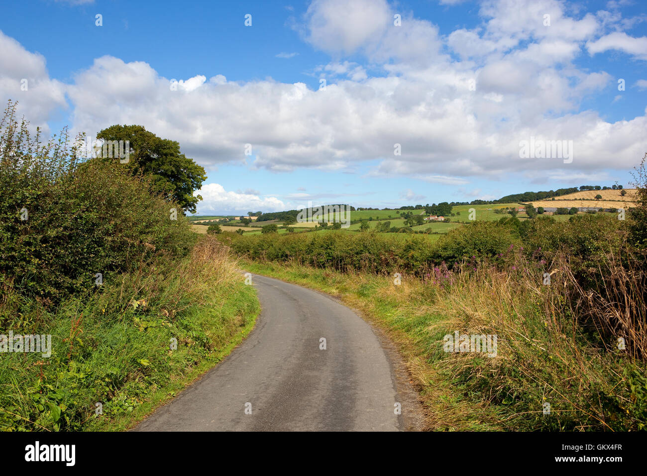 A small highway curving in to a scenic valley with hills and hedgerows ...