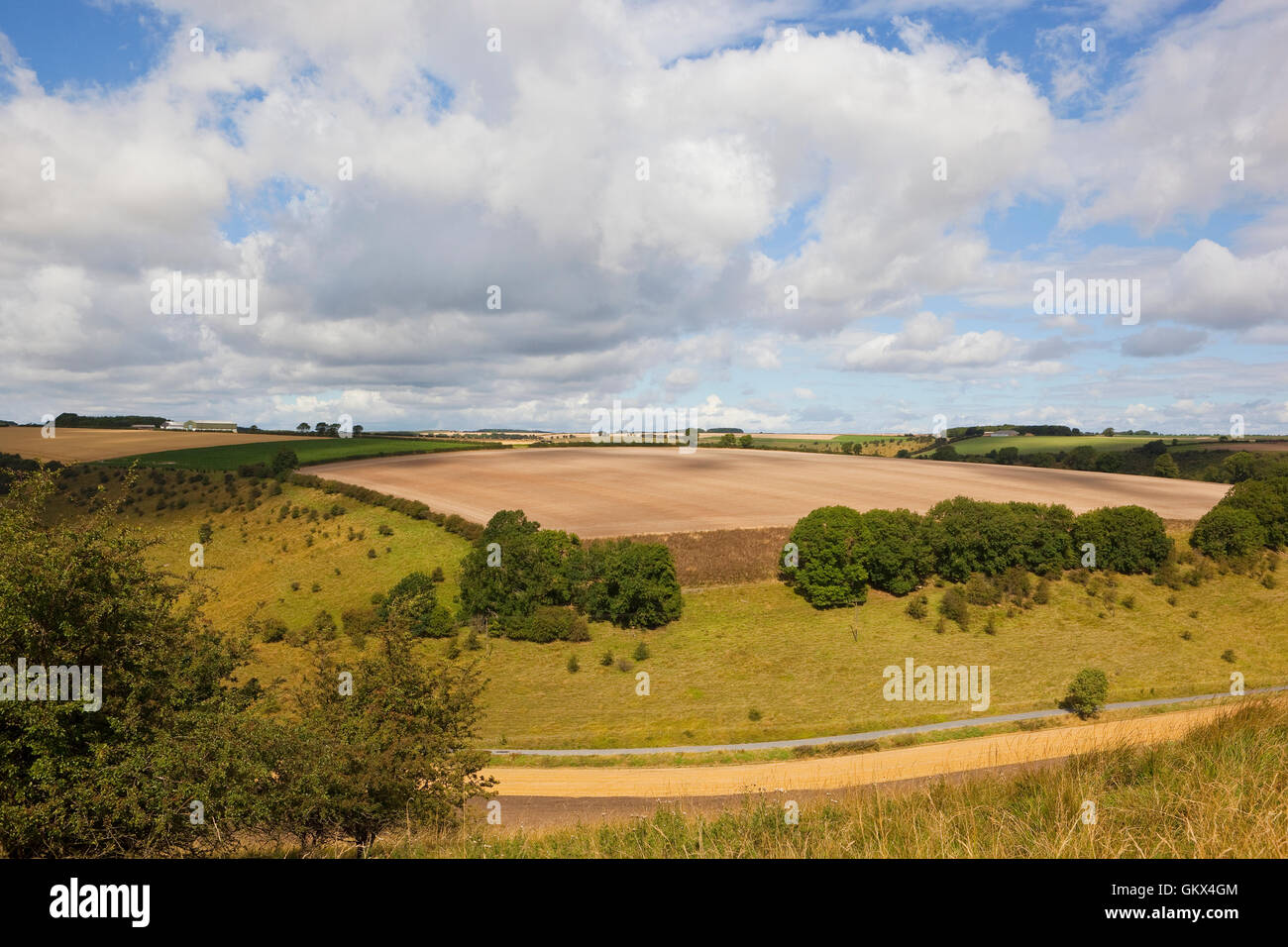 A scenic valley and patchwork farming landscape of the Yorkshire wolds ...