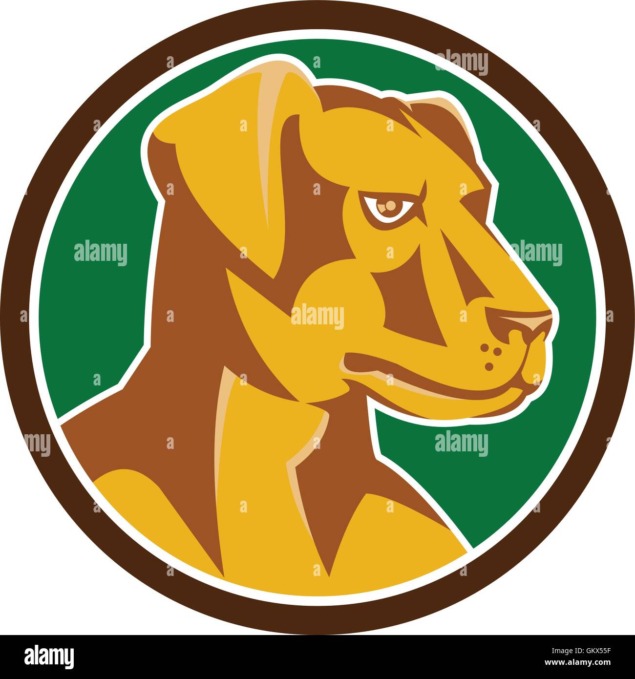 Golden retriever side view Stock Vector Images - Alamy