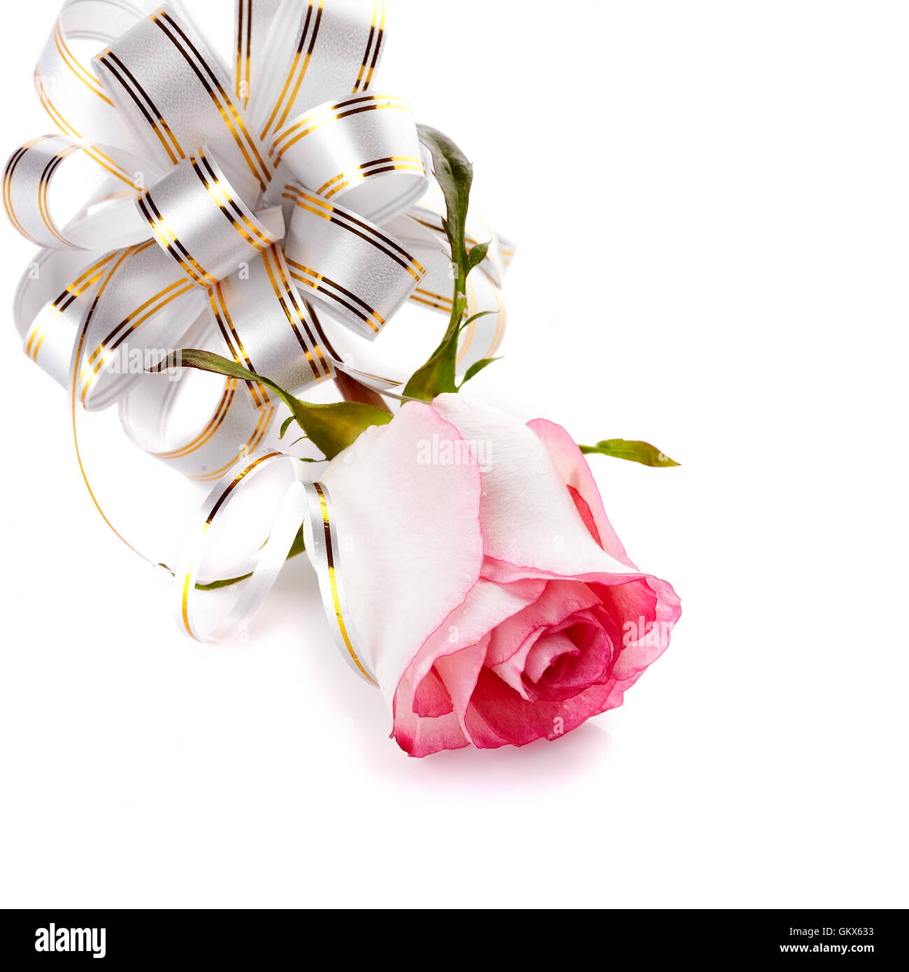 Rose flower with a bow Stock Photo - Alamy