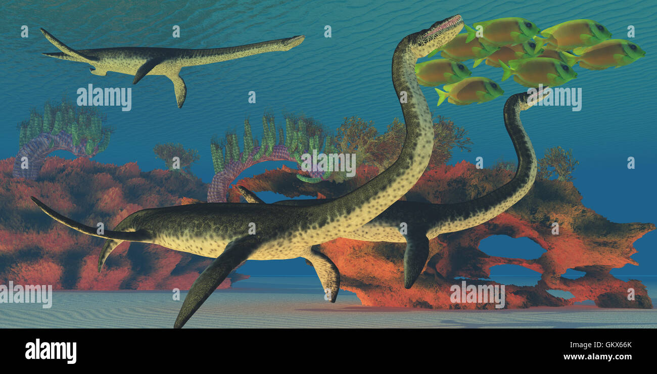 Plesiosaurus hi-res stock photography and images - Alamy