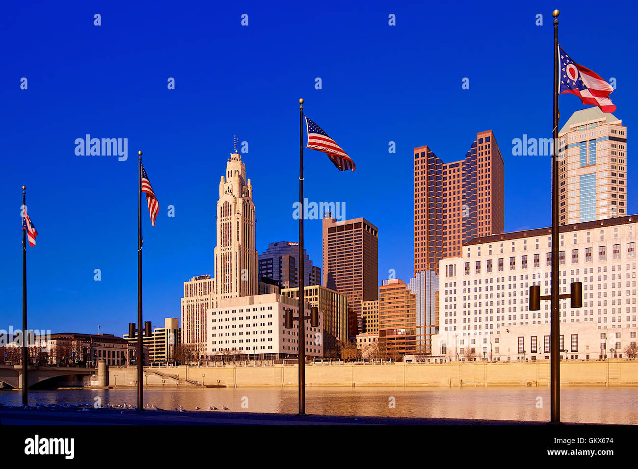 Bird columbus hi-res stock photography and images - Alamy