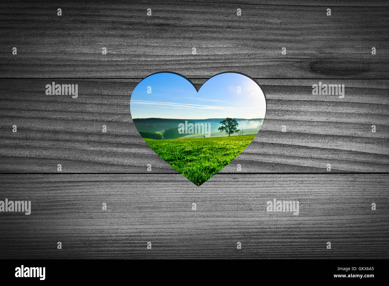 look into nature Stock Photo - Alamy