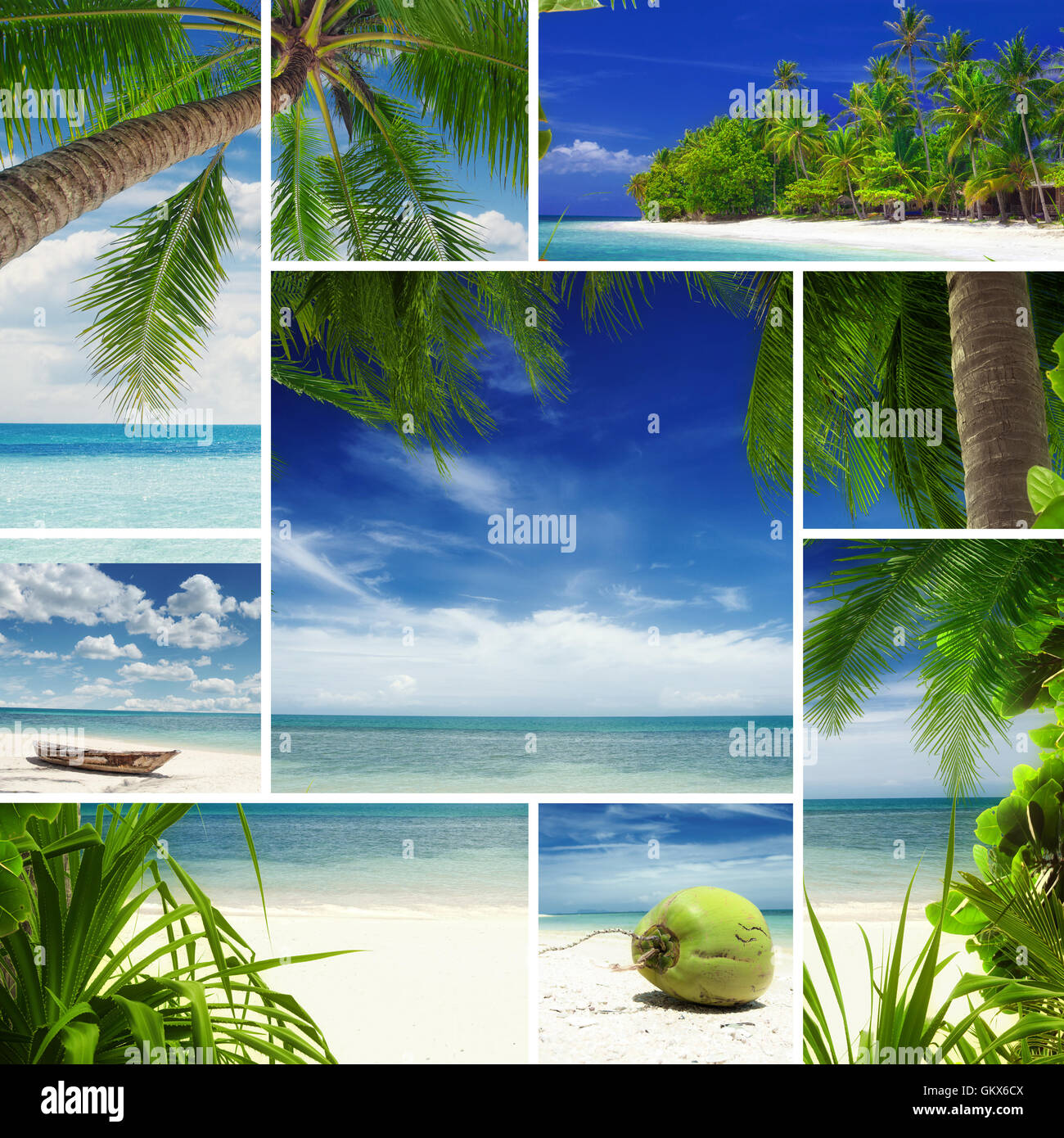 Tropic theme collage composed of different images Stock Photo - Alamy
