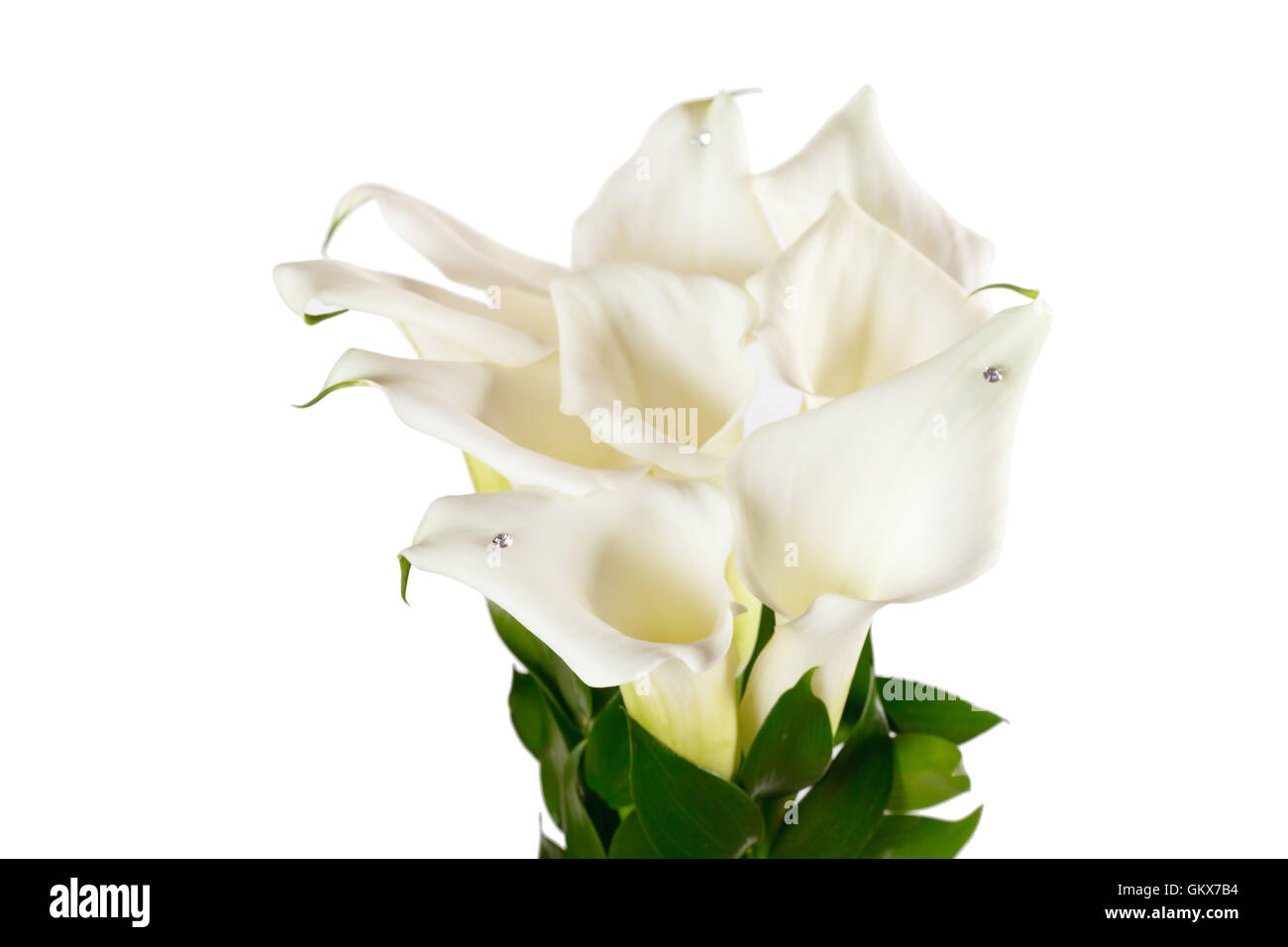 Alepes kalla hi-res stock photography and images - Alamy