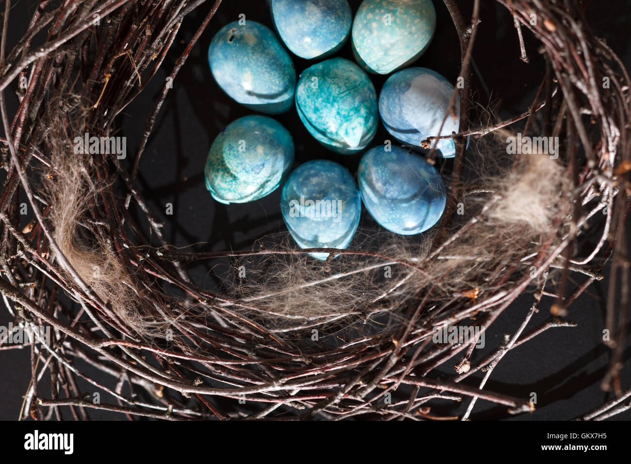 blue eggs in the nest Stock Photo - Alamy