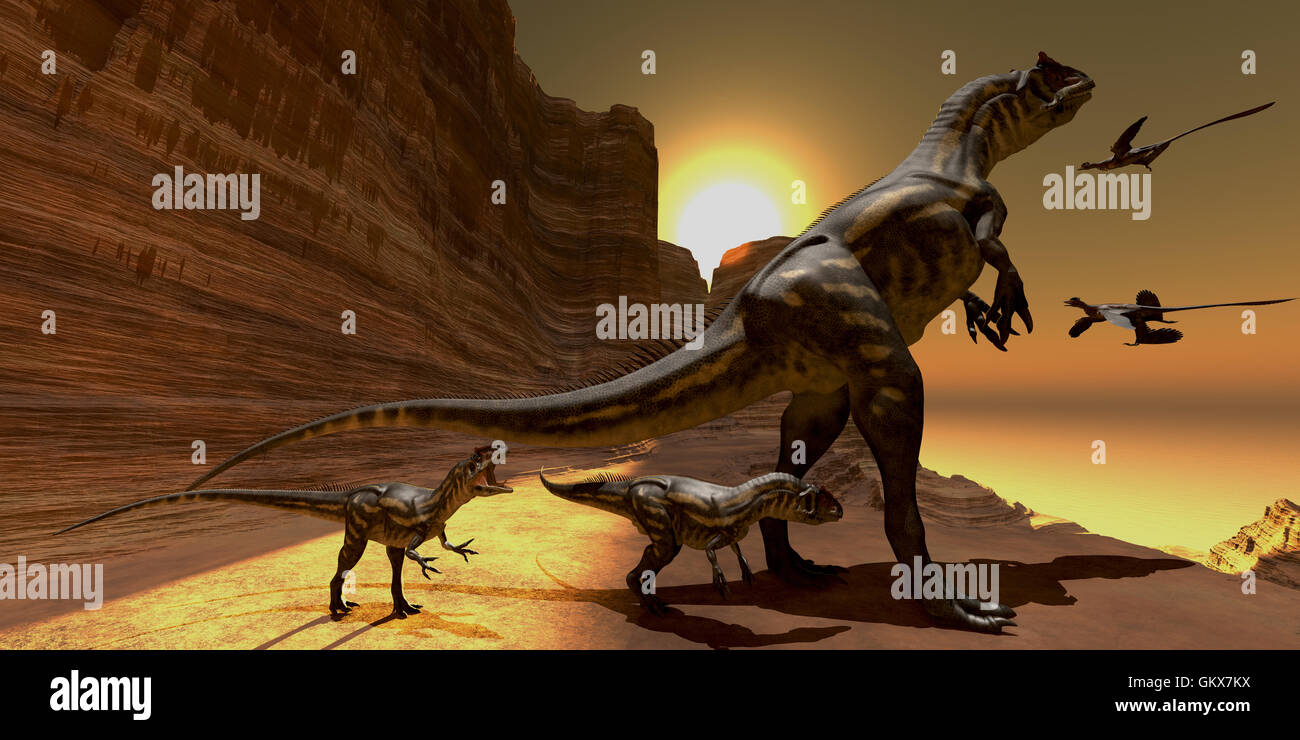 Allosaurus (allosaurus) hi-res stock photography and images - Alamy