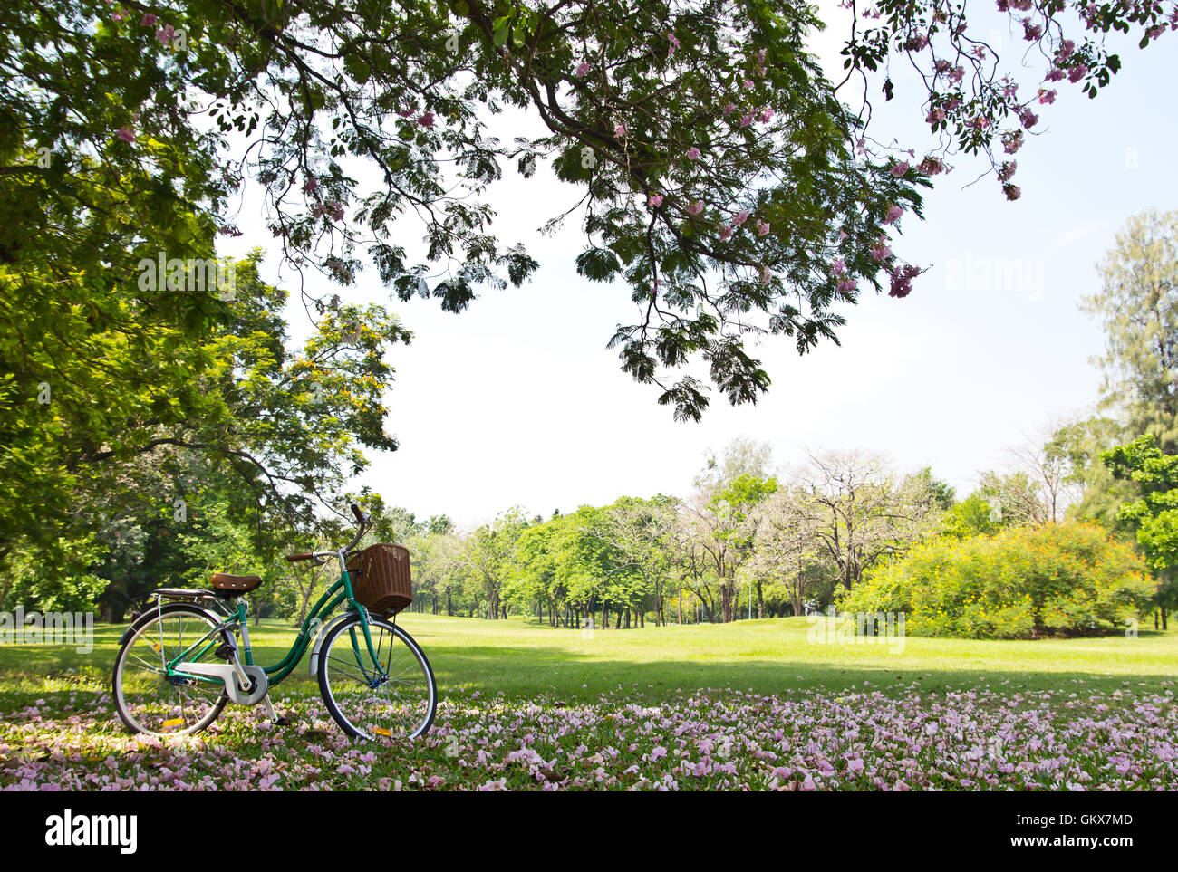 Bicycle in the park Stock Photo - Alamy