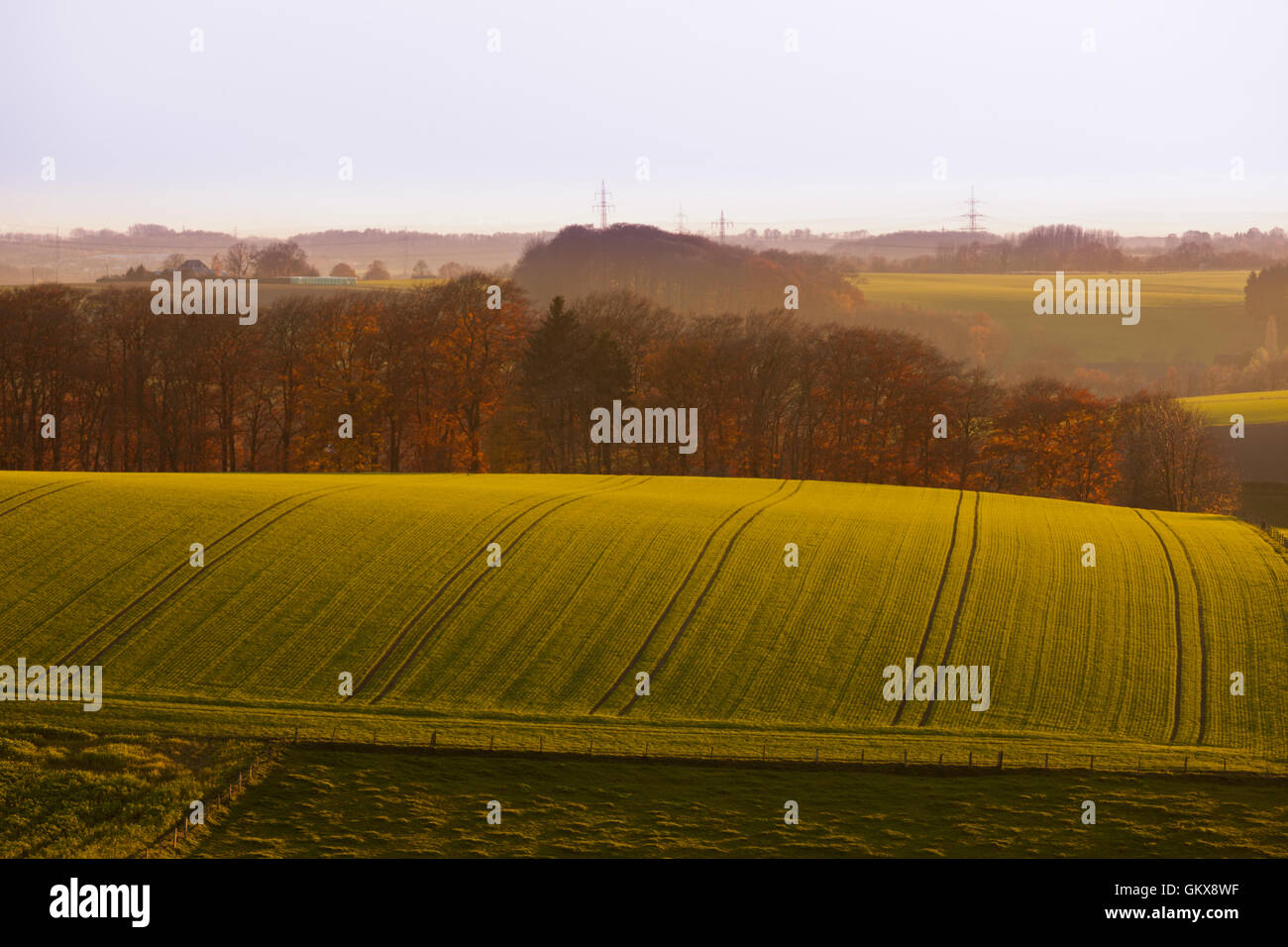 Gently rolling countryside hi-res stock photography and images - Alamy