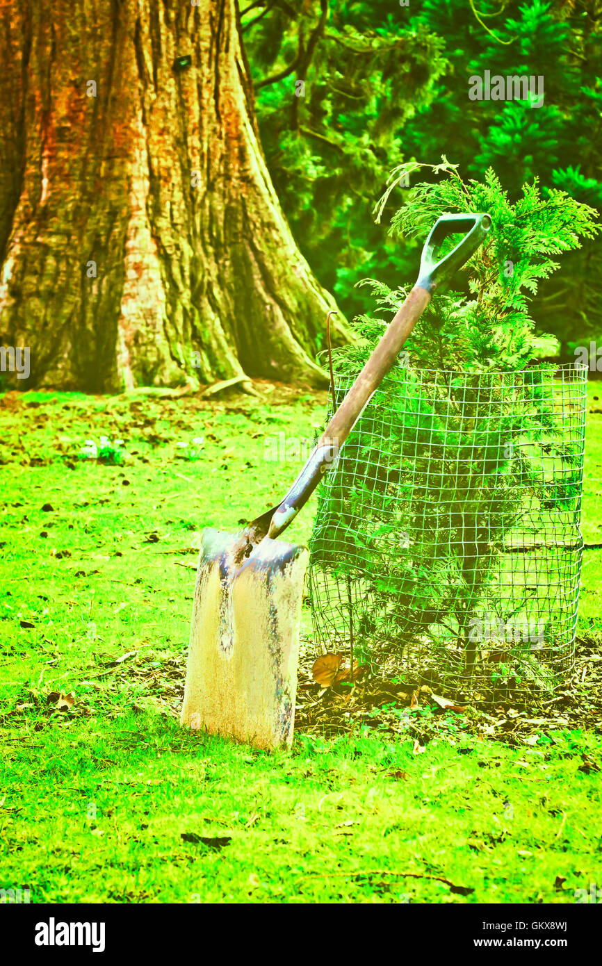 New and old spade hi-res stock photography and images - Alamy