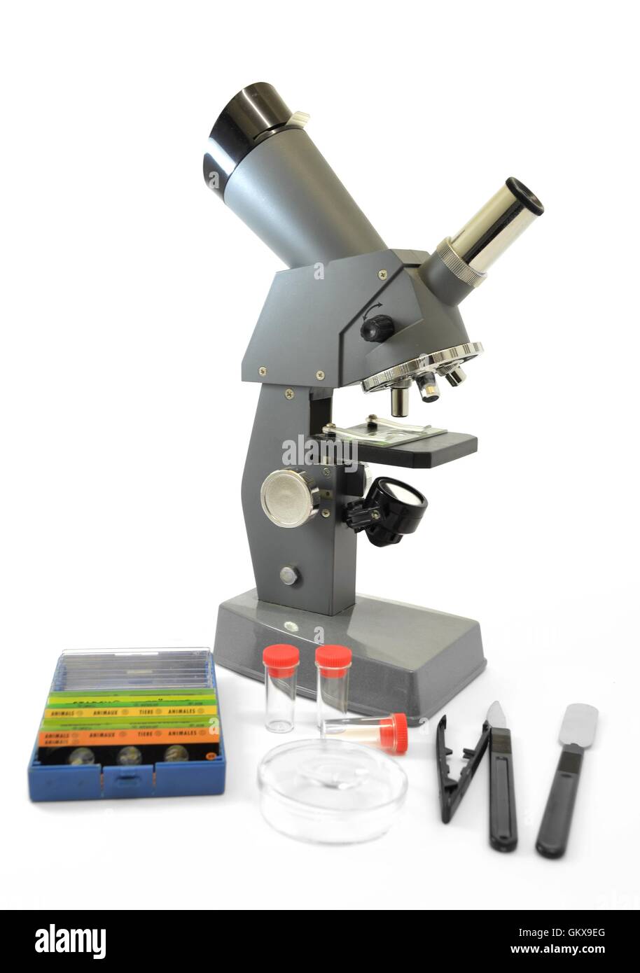 Microscope and science project equipment Stock Photo - Alamy