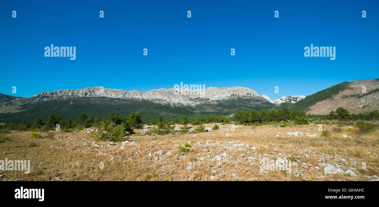 Veliko rujno hi-res stock photography and images - Alamy