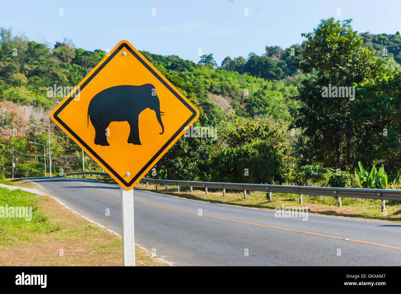 Road sign "caution elephants" on the track Stock Photo - Alamy