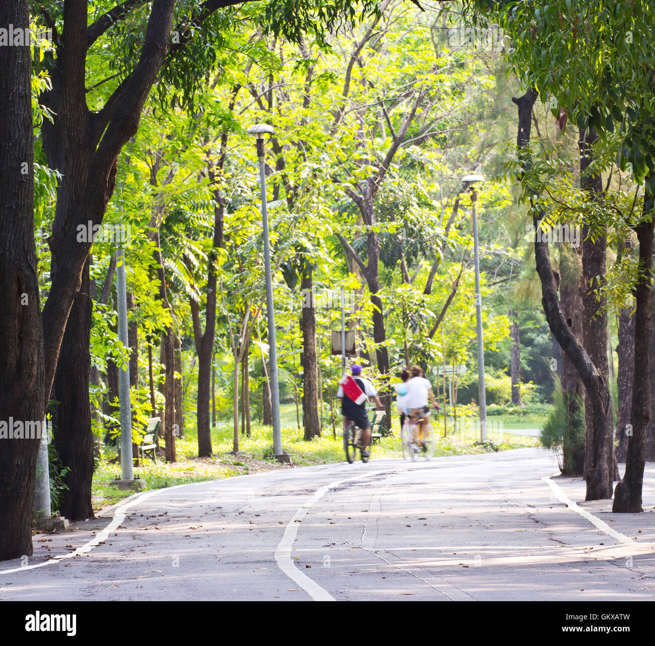 Bicycle path in the park Stock Photo - Alamy