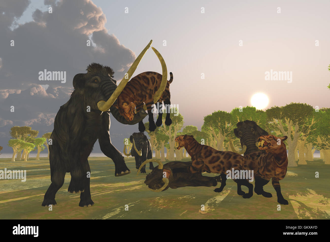 Saber tooth cat hi-res stock photography and images - Alamy