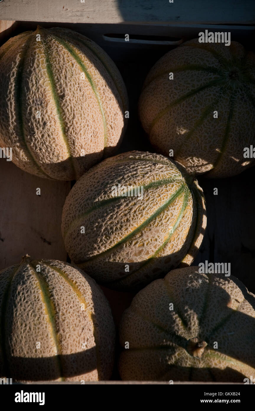 Red melons hi-res stock photography and images - Alamy