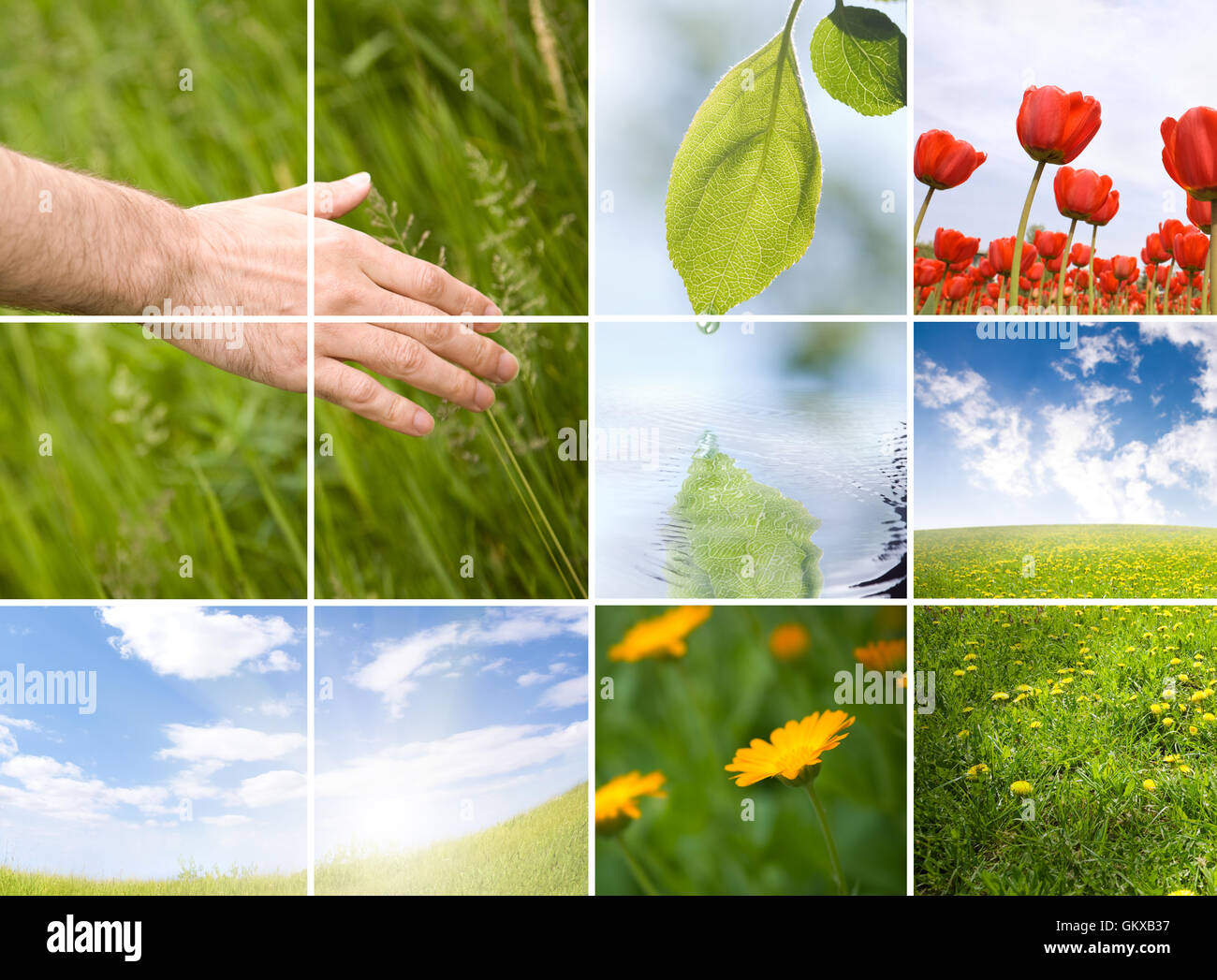 love and nature Stock Photo - Alamy
