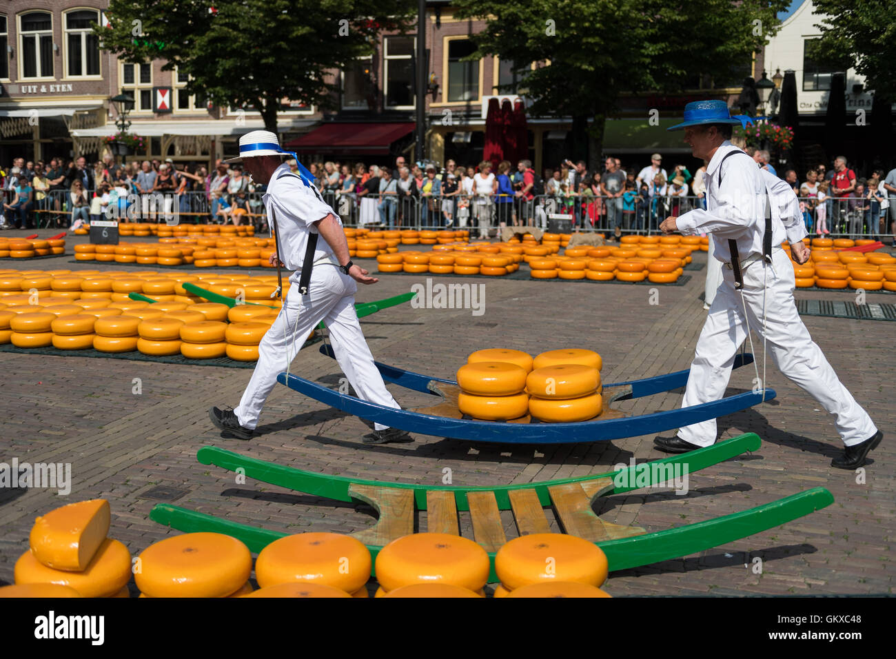 Traditional cheese carriers at the Alkmaar cheese market, Netherlands ...