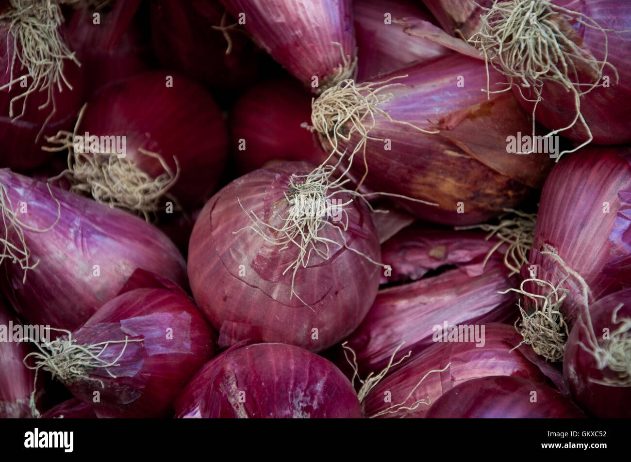 The sweet red onion of tropea hi-res stock photography and images - Alamy