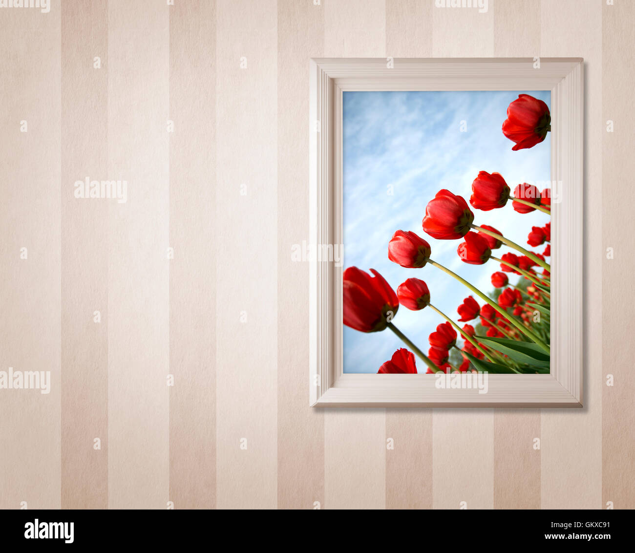 frame with tulips Stock Photo - Alamy