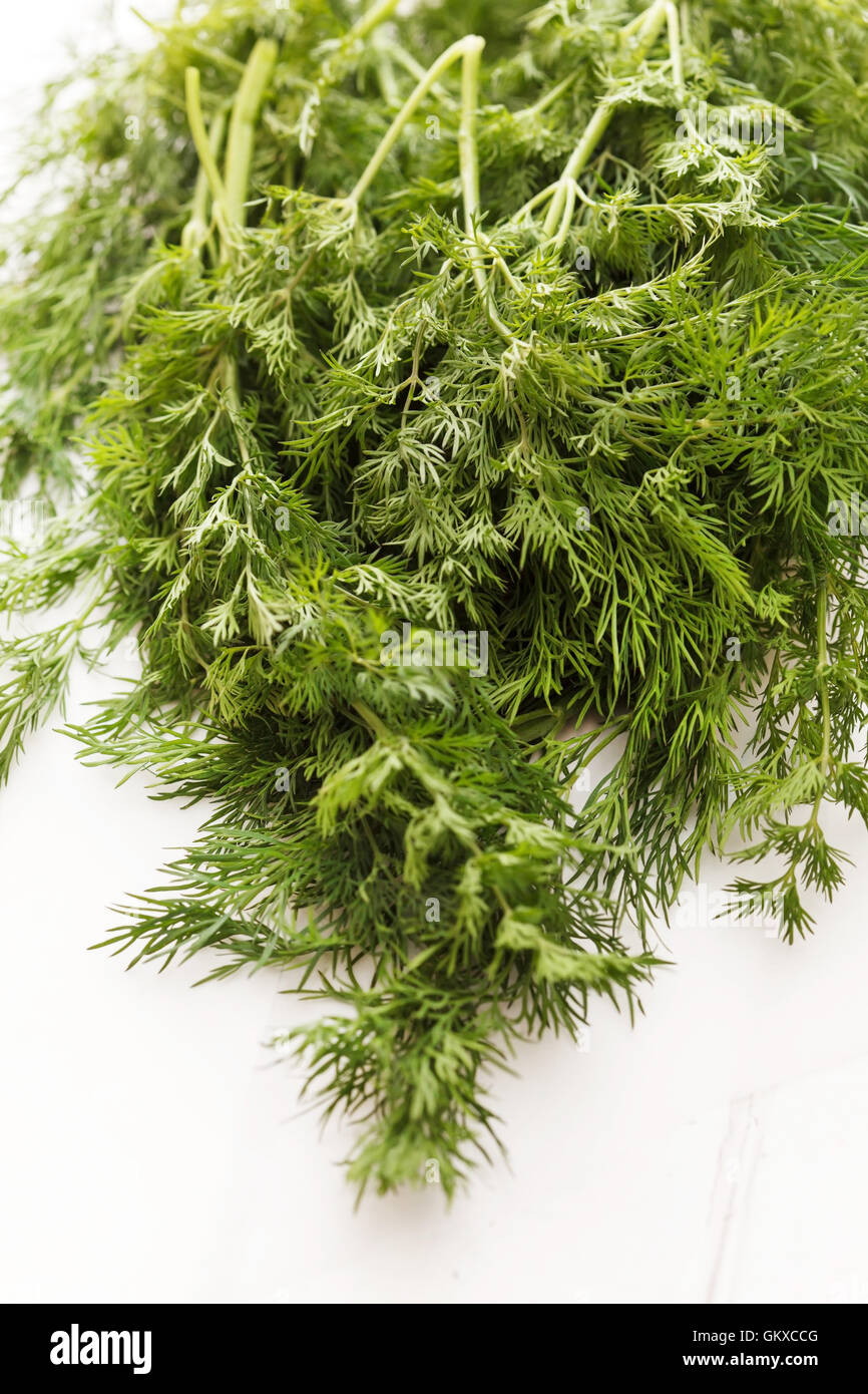 Fresh plant spice hi-res stock photography and images - Alamy