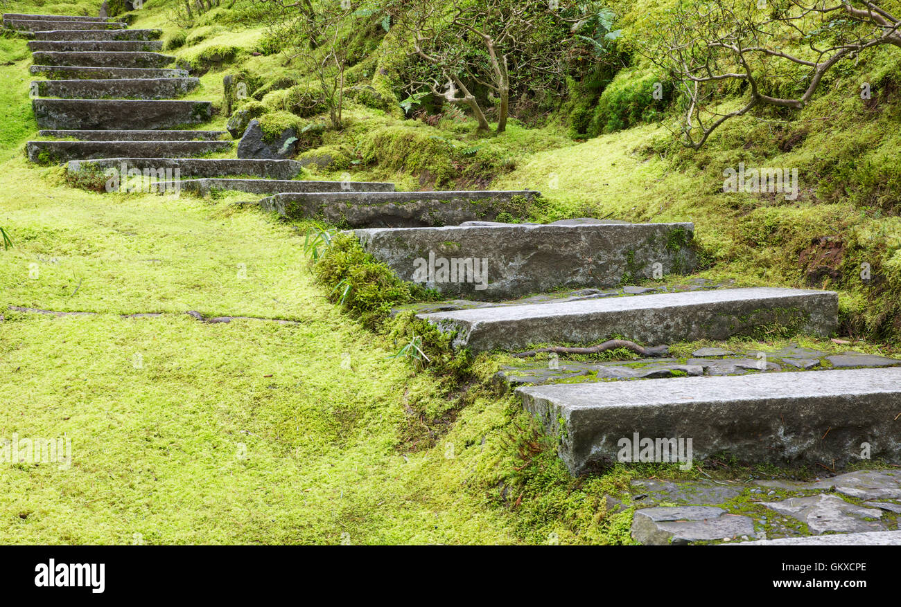 Asian garden stone staircase wood hi-res stock photography and images ...