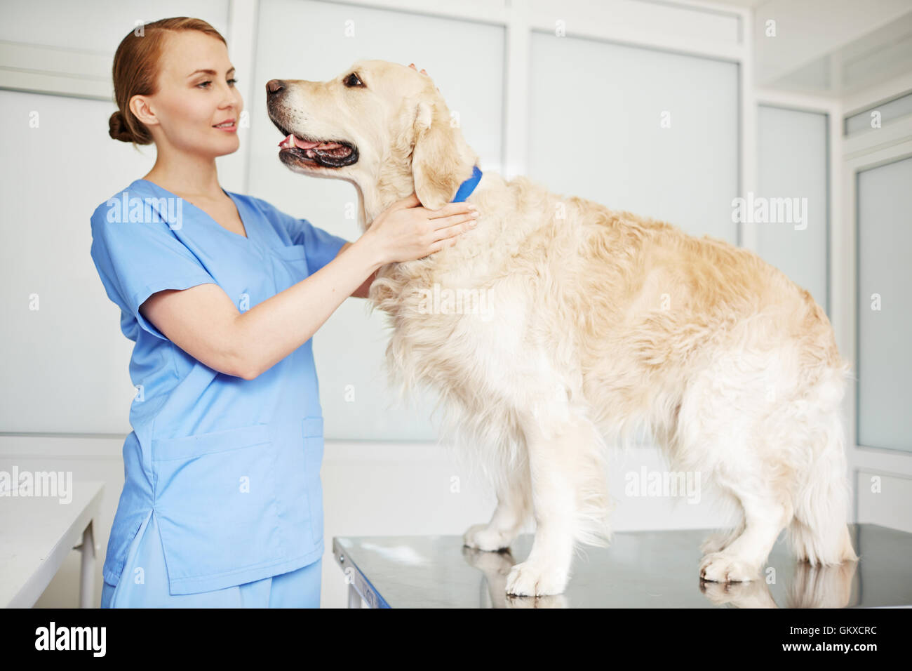 Vet table hi-res stock photography and images - Alamy
