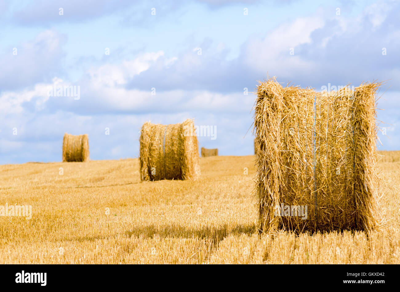 Strawball hi-res stock photography and images - Alamy
