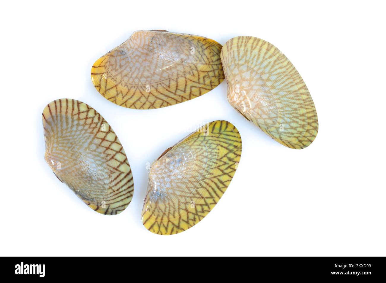 Clam farm hi-res stock photography and images - Alamy