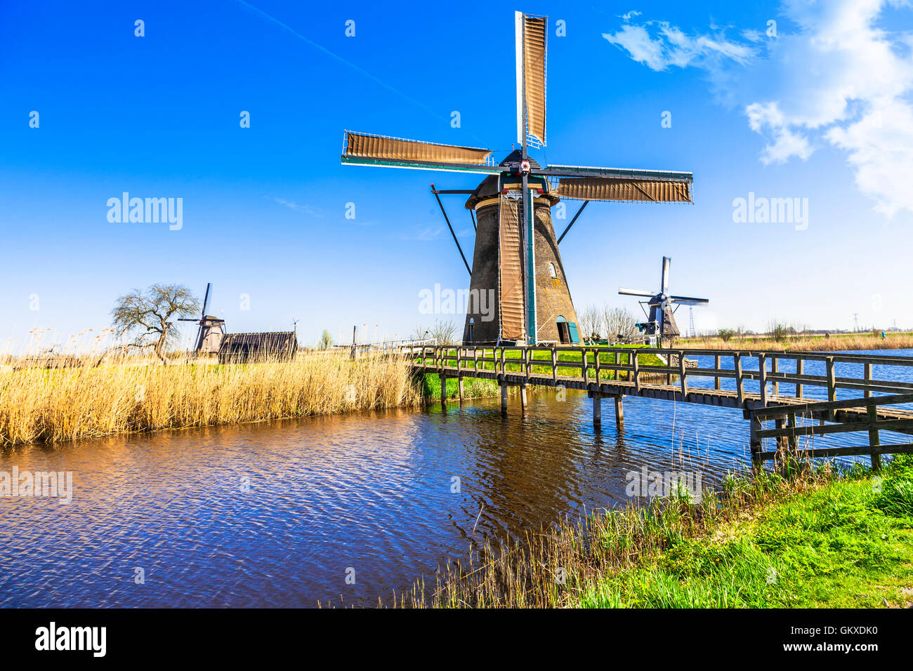 famous windmills of Netherlands in Kinderdjik Stock Photo - Alamy
