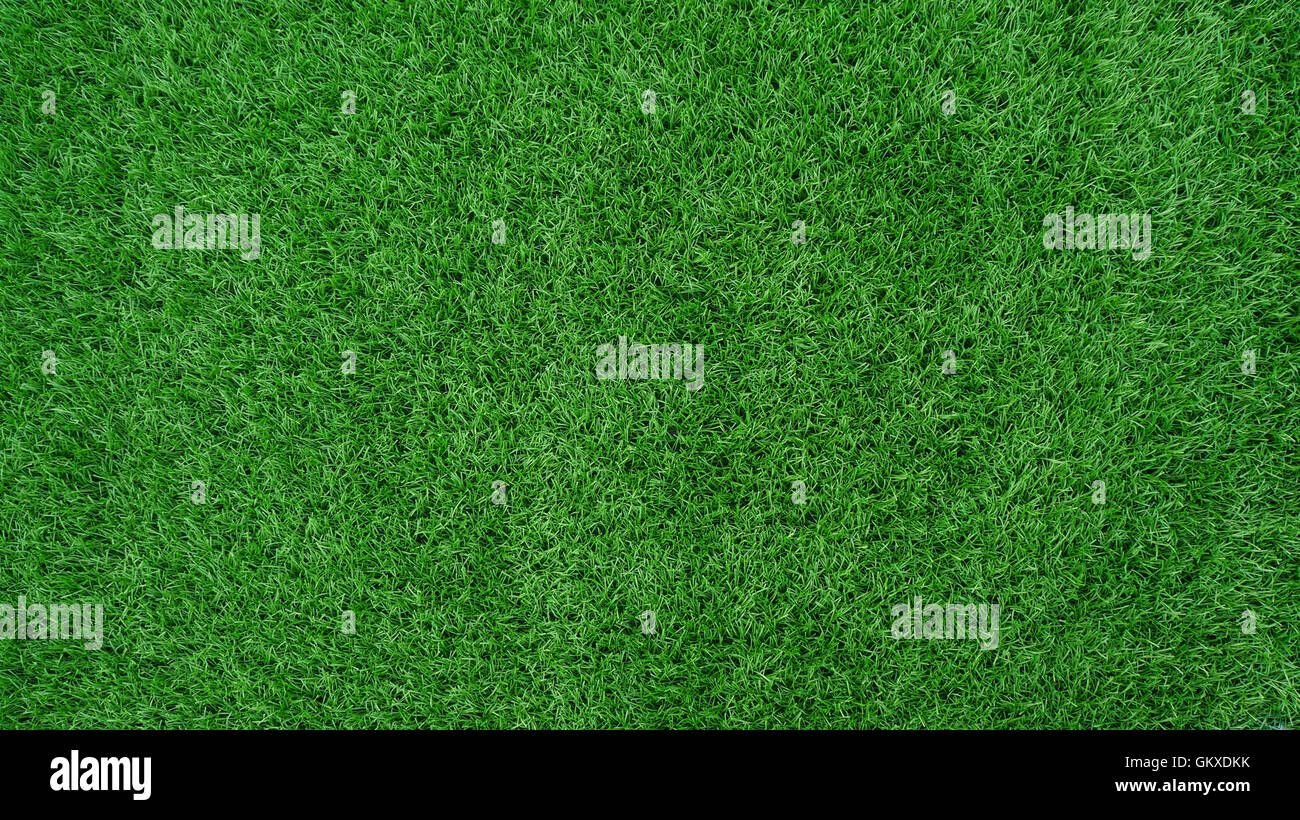 Artificial grass background Stock Photo - Alamy